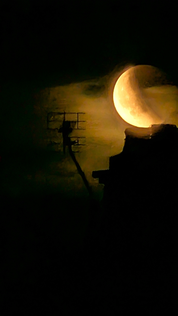 Reader Photograph Gallery – November 2025 - Basinga Extra